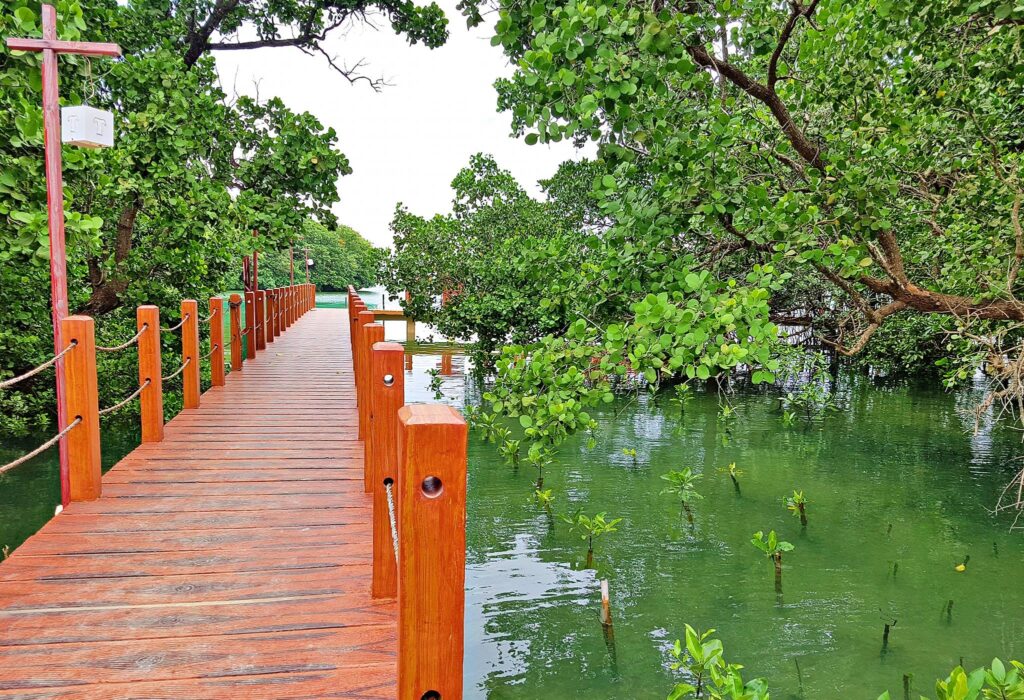 Boracay Van Rental | Private Group Transport